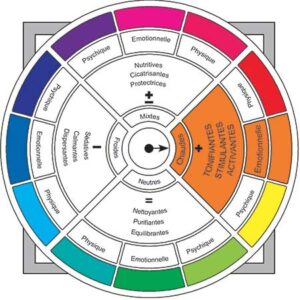 Traité de Couleur Thérapie Pratique | Formation Chromothérapie | Cours ...